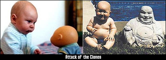 Baby Clones